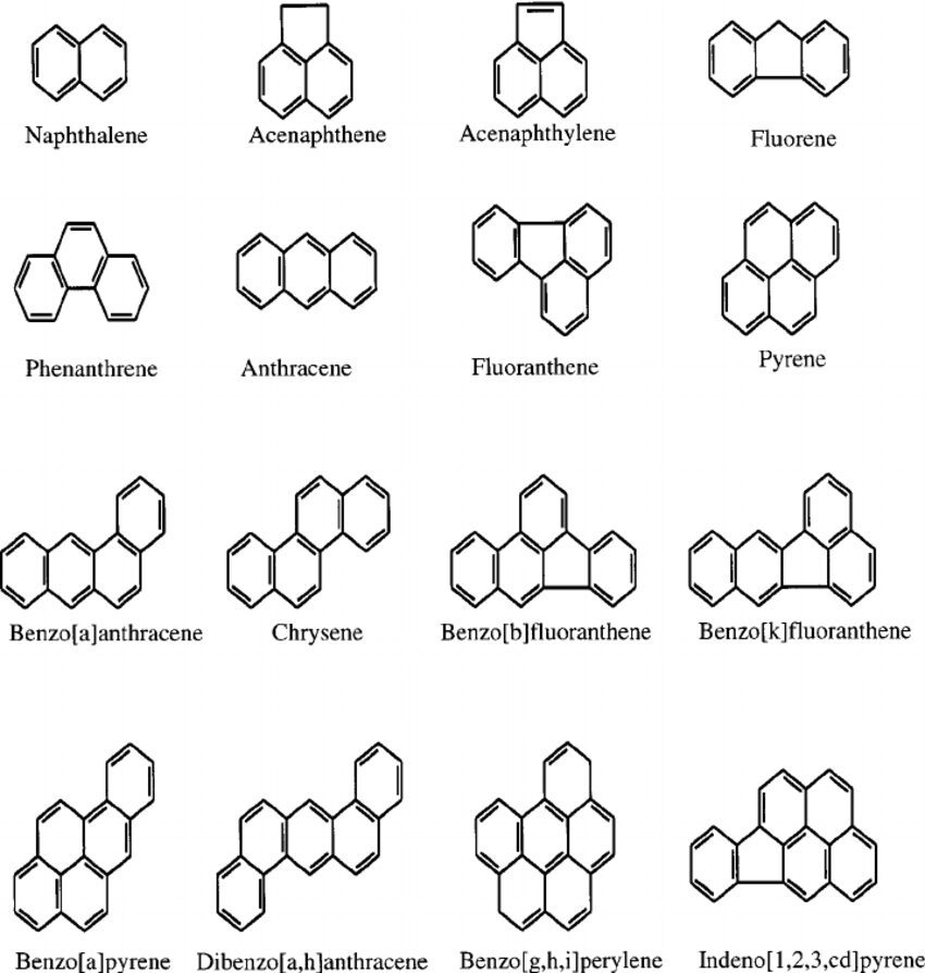 Una “squadra speciale” microbica per la biodegradazione degli IPA