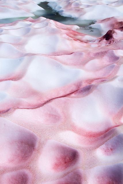 Cosa c’è dietro il mistero della neve colorata? - Microbiologia Italia