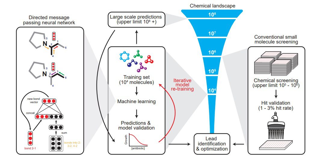 Halicin: nuovi antibiotici grazie all’intelligenza artificiale
