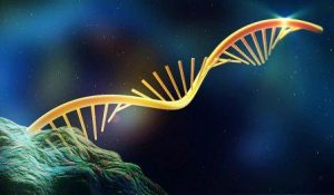 Estrazione e purificazione dell'RNA - Microbiologia Italia