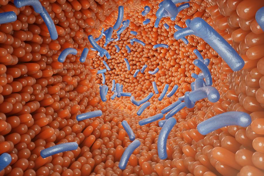 Metabolismo batterico: caratteristiche generali - Microbiologia Italia