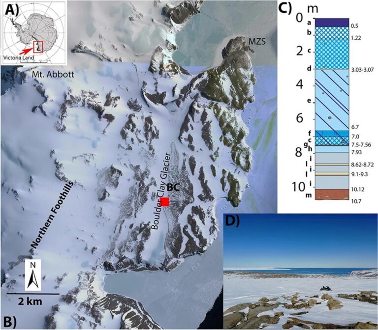 Lo straordinario crioecosistema antartico in Boulder Clay