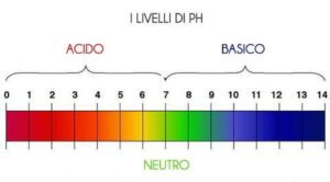 Cosa è il pH e a cosa serve? - Microbiologia Italia