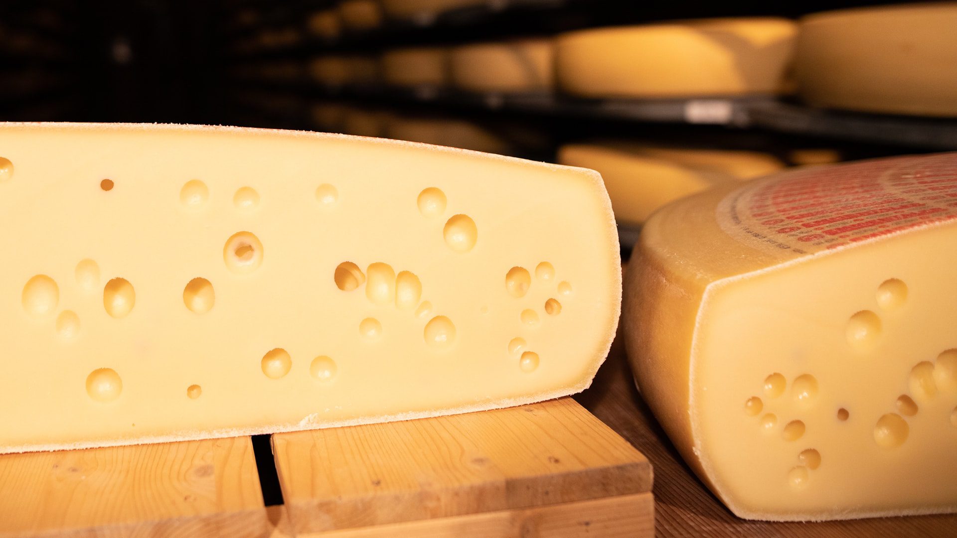 Microrganismi nei formaggi: protagonisti principali della loro tipicità