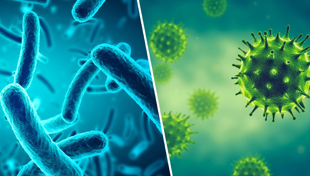 Batteri vs Virus: le differenze sostanziali che devi conoscere