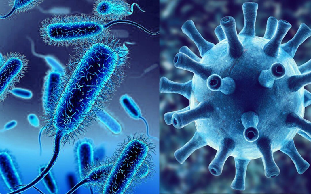 Sono più pericolosi i Batteri o i Virus? il nemico più letale è...