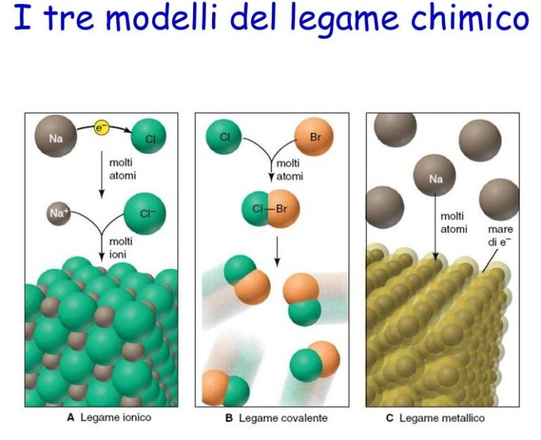 La tavola periodica degli elementi - Microbiologia Italia