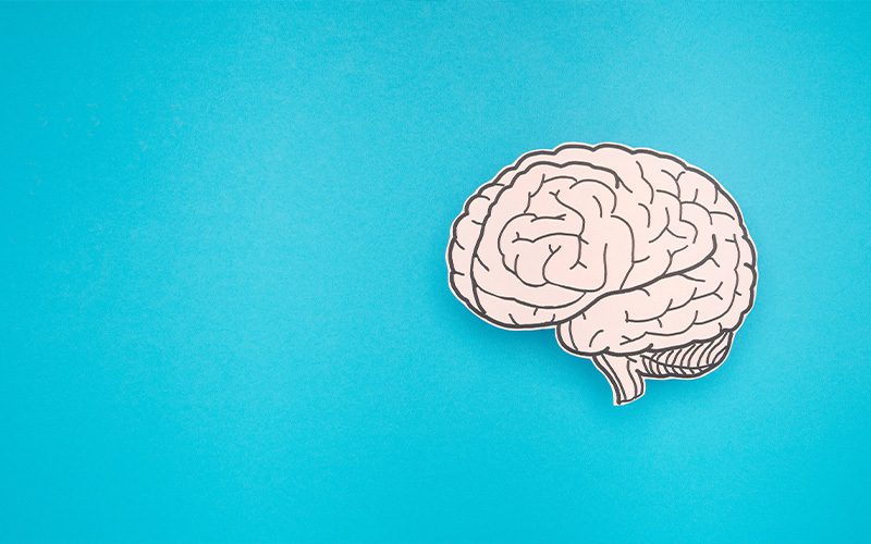 Meningite fungina: caratteristiche e trattamento - Microbiologia Italia