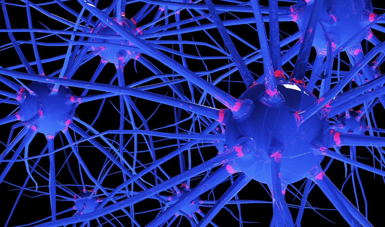 Stress e sistema immunitario del cervello: la neuroimmunologia