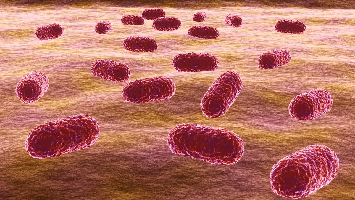 Combattere Acinetobacter baumannii resistente ai carbapenemi