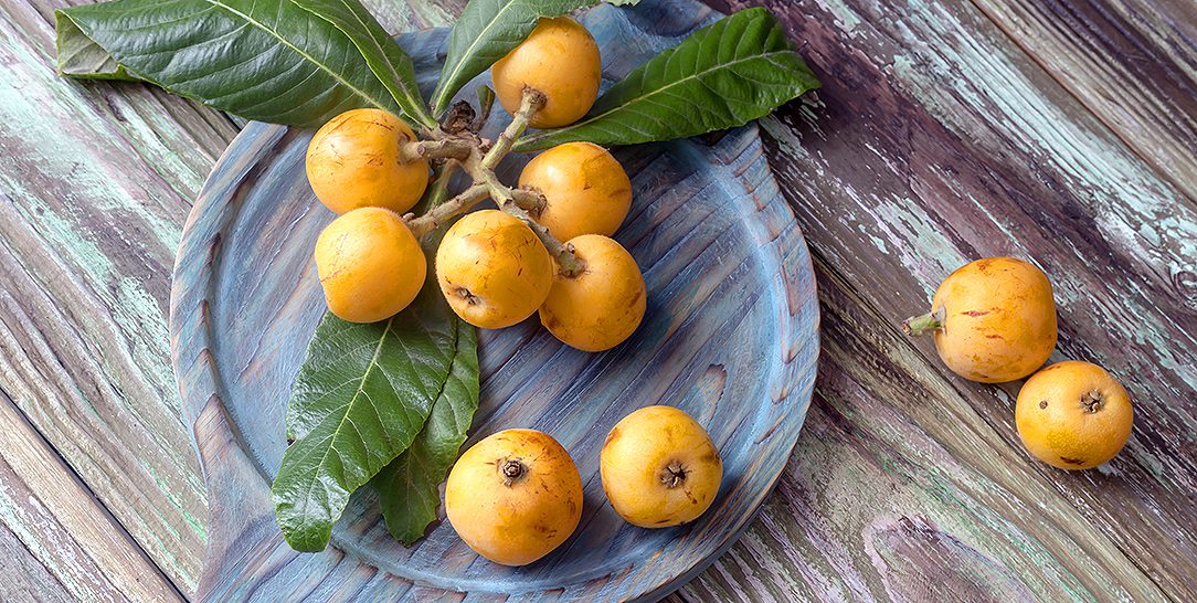 Nespole: Proprietà, Benefici e Controindicazioni