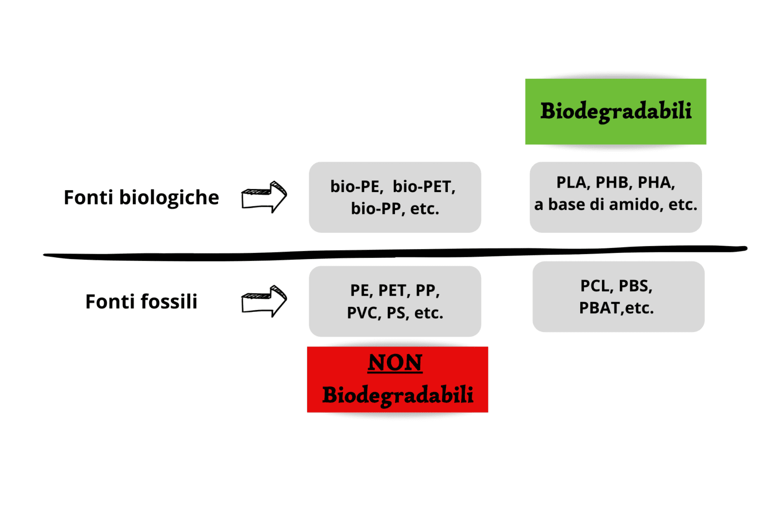 Il mondo delle bioplastiche - Microbiologia Italia