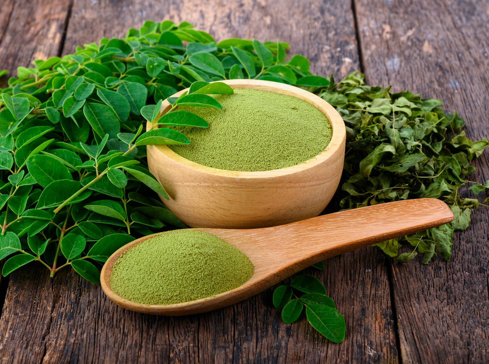 I Benefici della Moringa - Microbiologia Italia