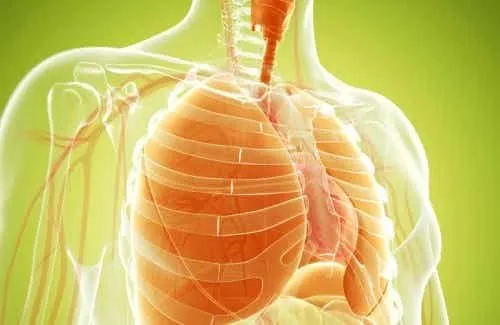 Mantenere sani i polmoni - Microbiologia Italia