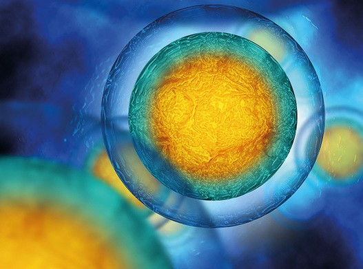 In vivo Site-Specific Engineering: Come Riprogrammare i Linfociti T