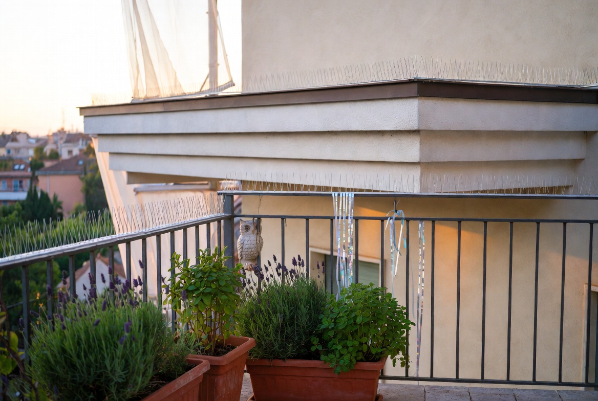 Cosa utilizzare per non fare nidificare gli uccelli nel balcone